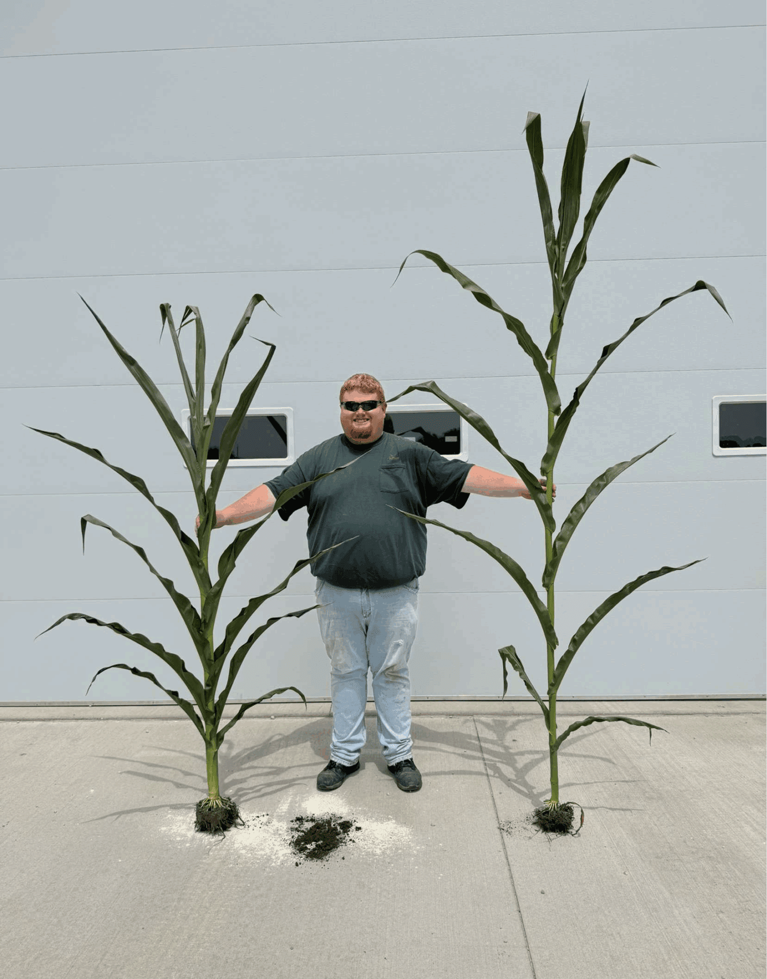 Agronomic Insights: 7/18/25 - Ag Partners